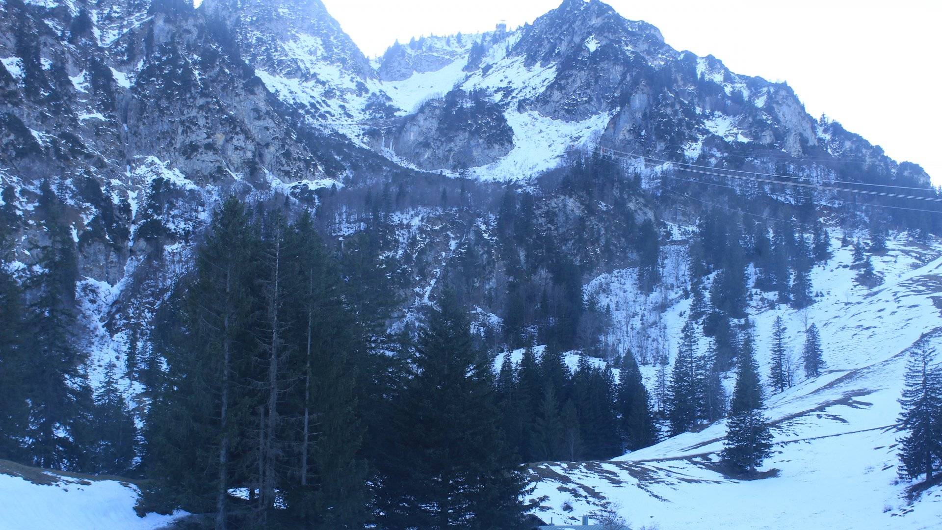 Webcam Hochfelln - Mittelstation, Viewing direction Gipfel des ...