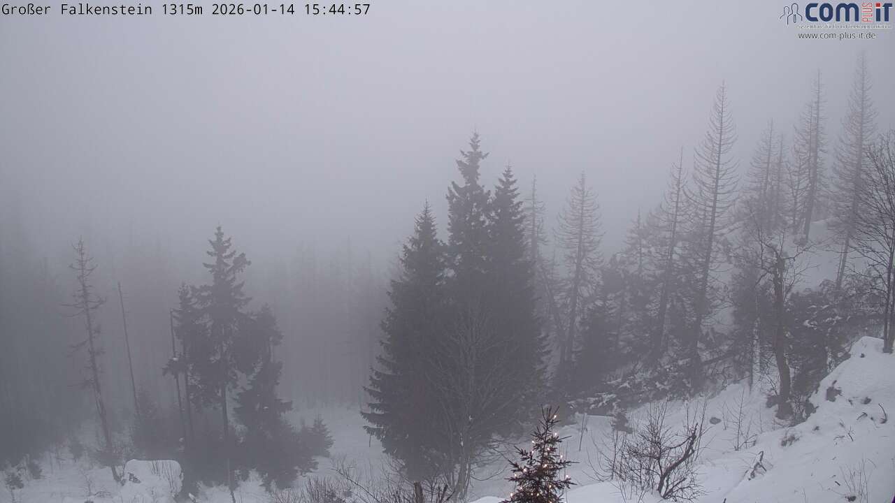 Webová kamera Großer Falkenstein, Směr zobrazení Blick ins Tal ...