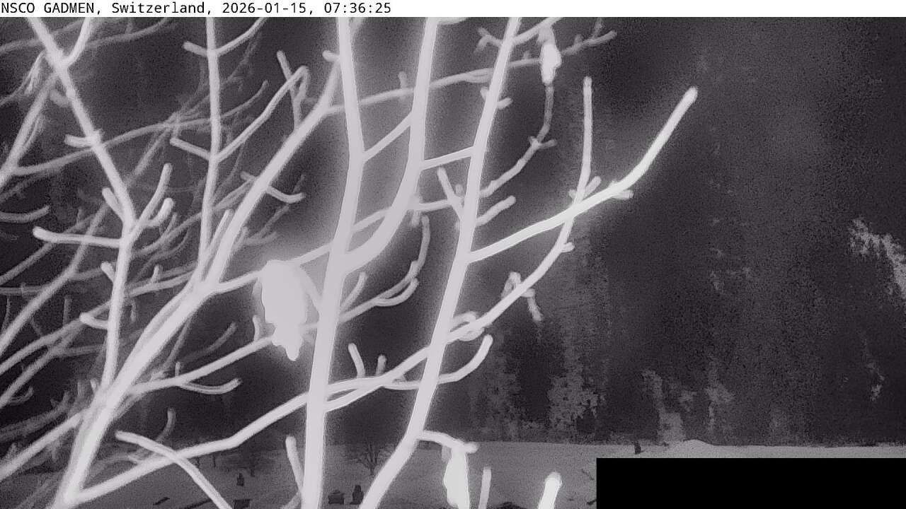 Webcam Gadmen, Blickrichtung Blick vom NSCO Gadmen auf die ...