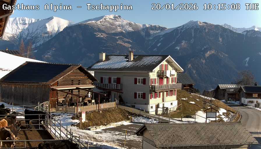 Webcam Tschappina / Gasthaus Alpina, Tschappina, 1.400 m - bergfex