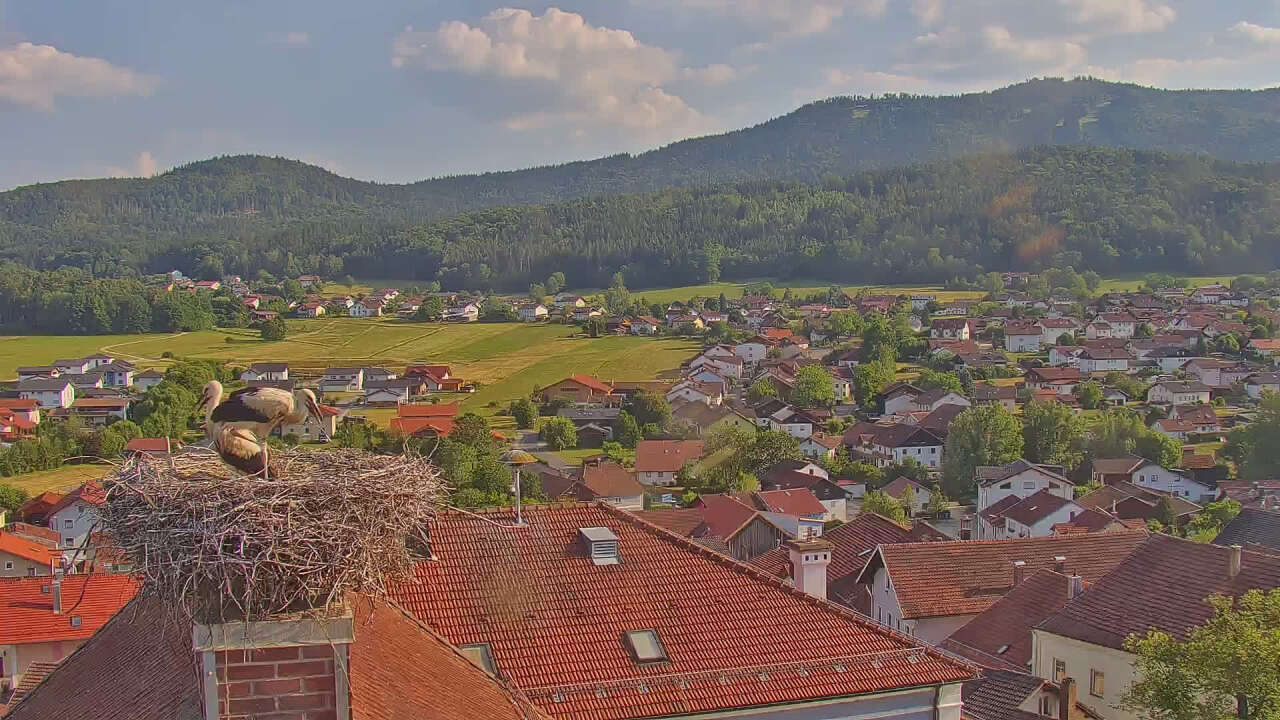 Webcam Storchennest - Neukirchen b. Hl. Blut, Viewing direction ...