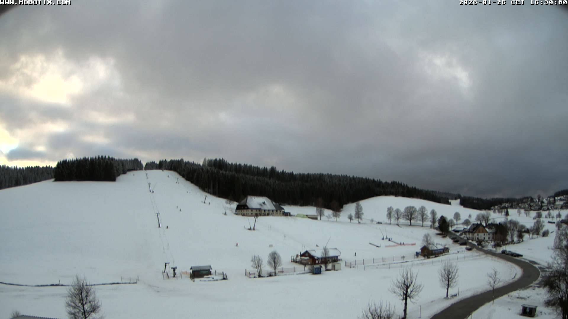 Webcam Schneeberglifte Waldau, Waldau, 939 m - bergfex