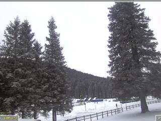 BERGFEX-Webcams Vogel - Webcam Vogel - Cams
