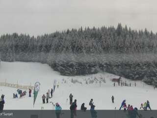 BERGFEX-Webcams Berwang - Webcam Berwang - Cams